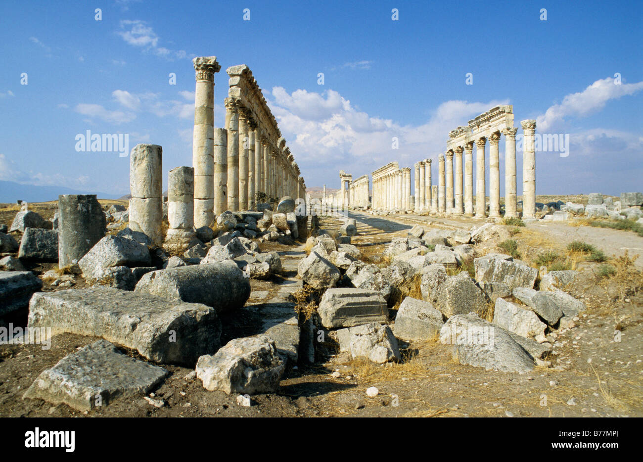 Roman row of columns, colonnades, Apamea, Syria, Middle East, Orient ...