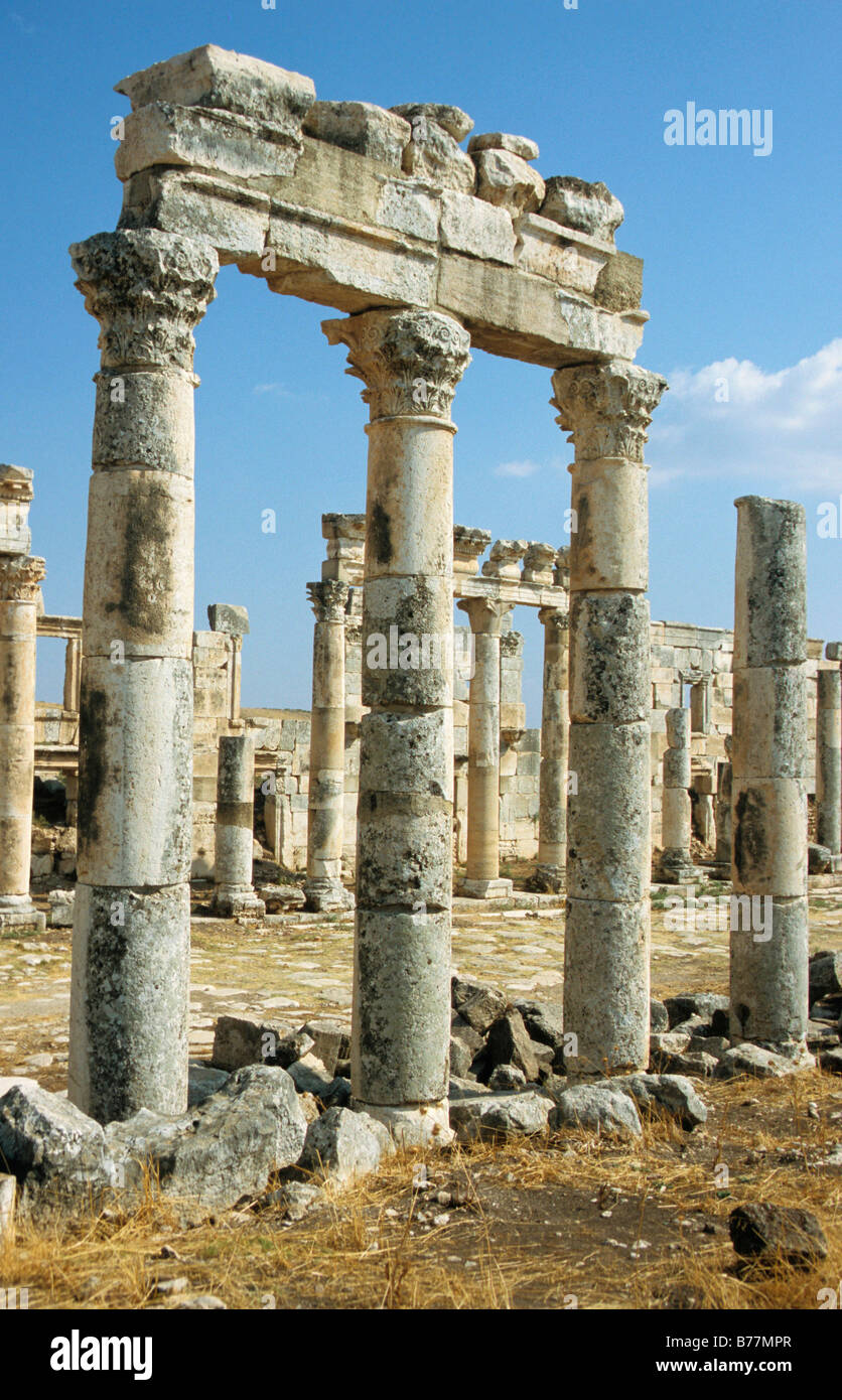 Roman row of columns, colonnades, Apamea, Syria, Middle East, Orient ...