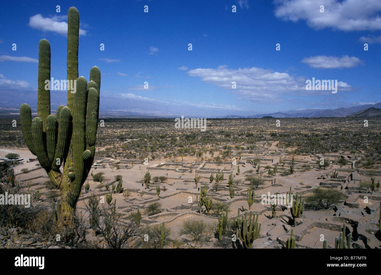 Tucaman hi-res stock photography and images - Alamy