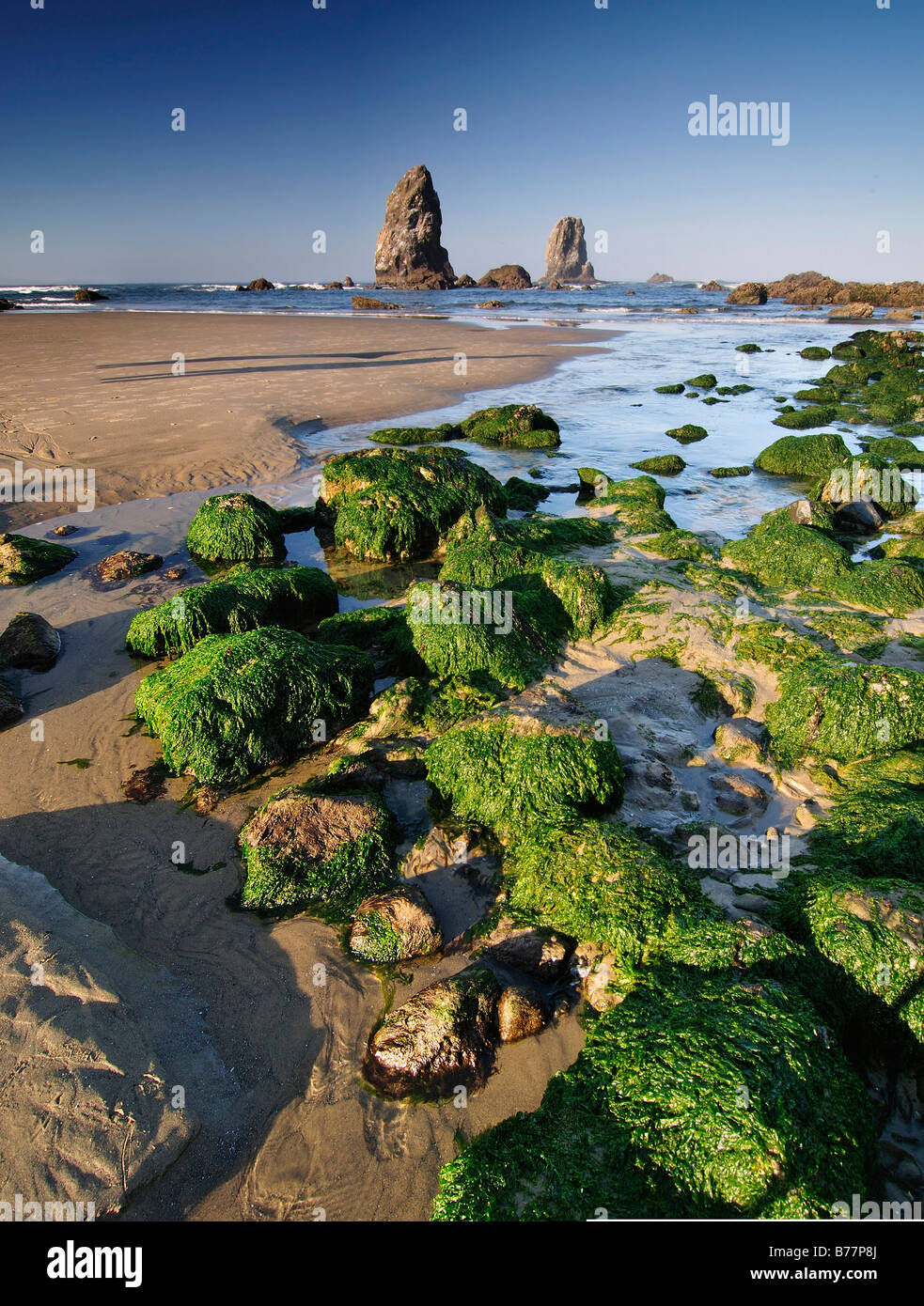 Rockpools hi-res stock photography and images - Alamy