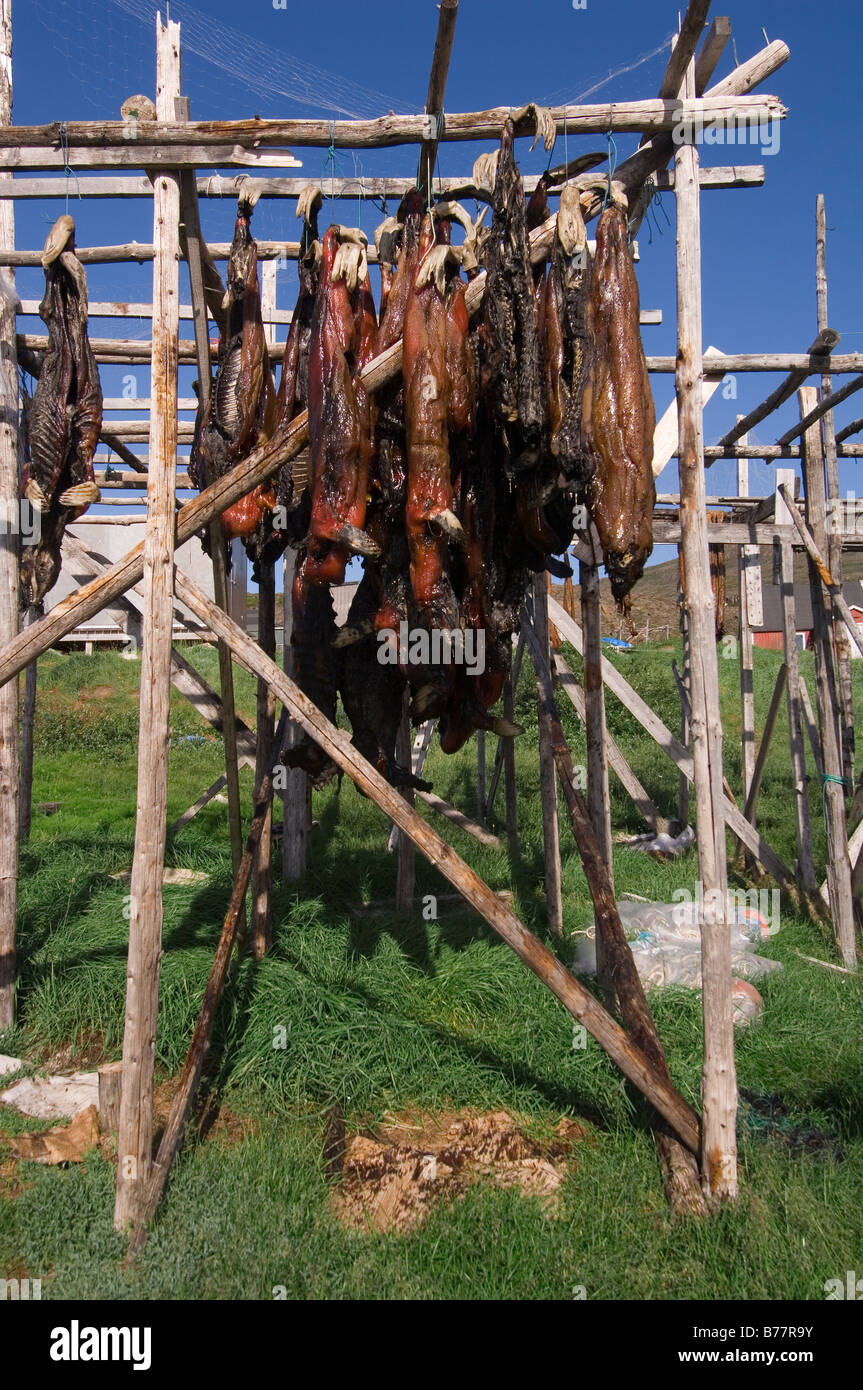 Inuit fish drying hi-res stock photography and images - Alamy