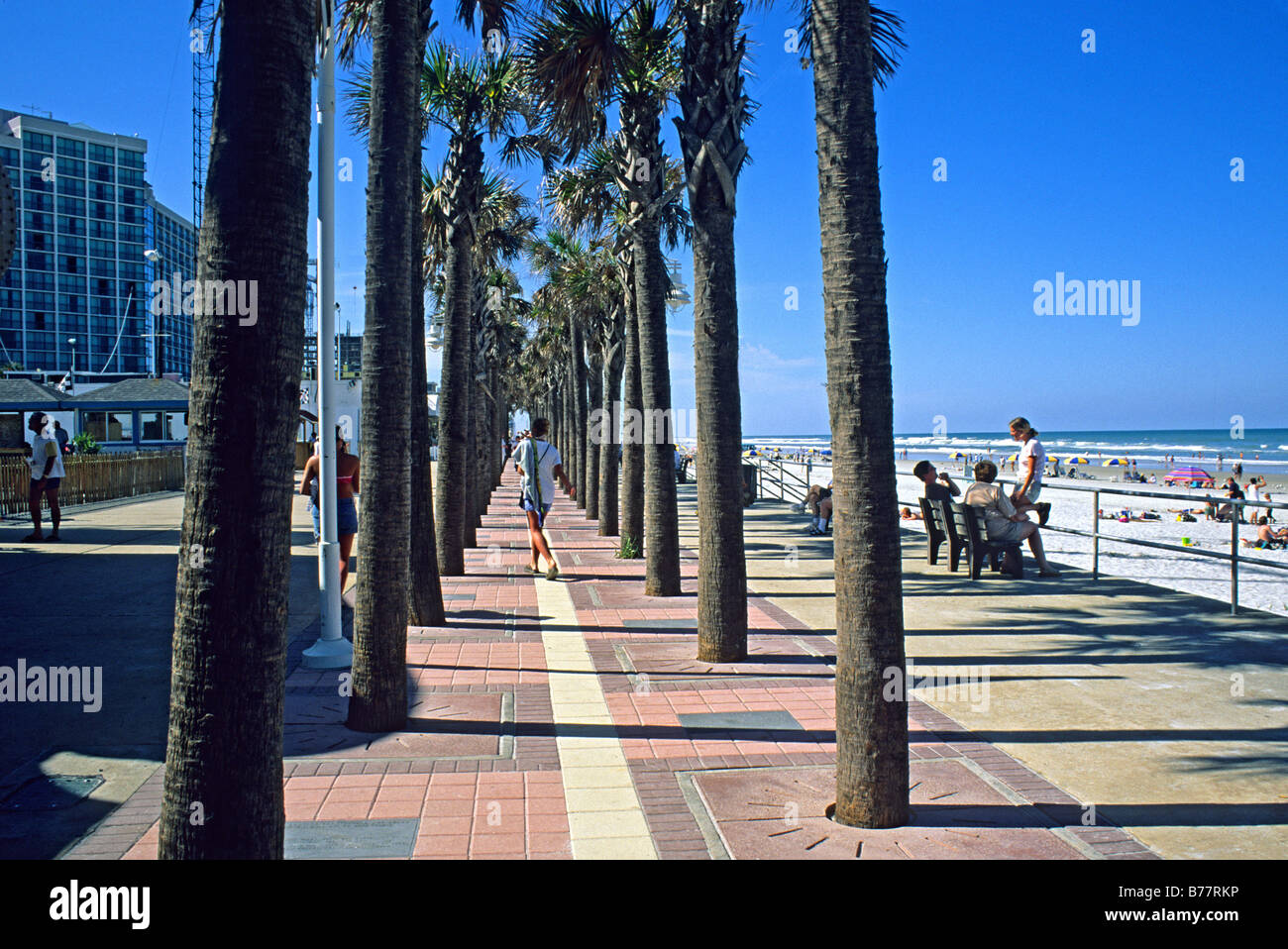 People tree lined promenade Daytona Beach Florida Stock Photo - Alamy