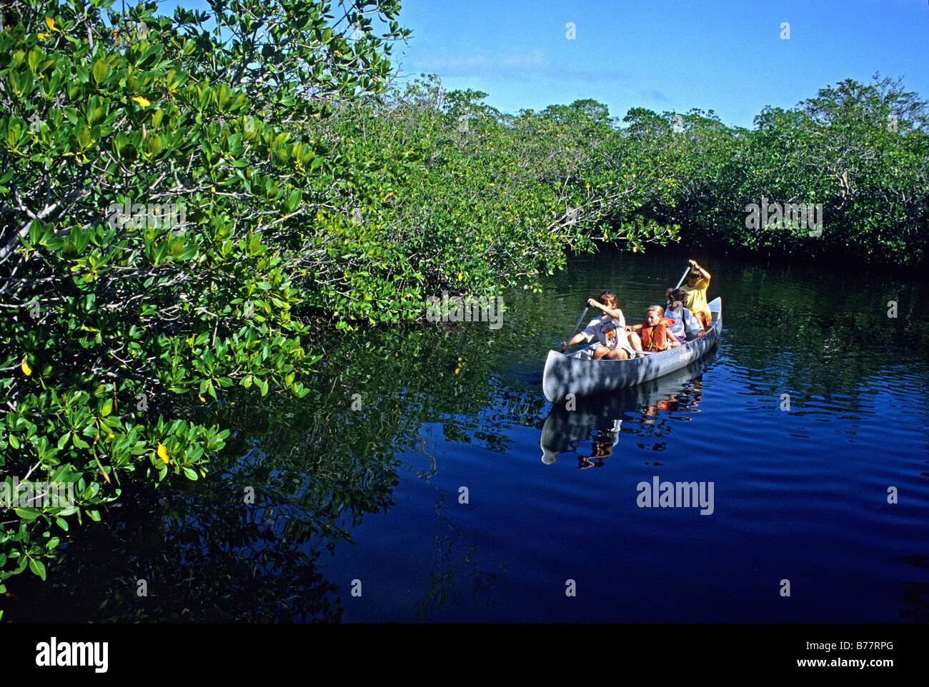 people canoeing in mangroves John Pennekamp Coral Reef State Park ...