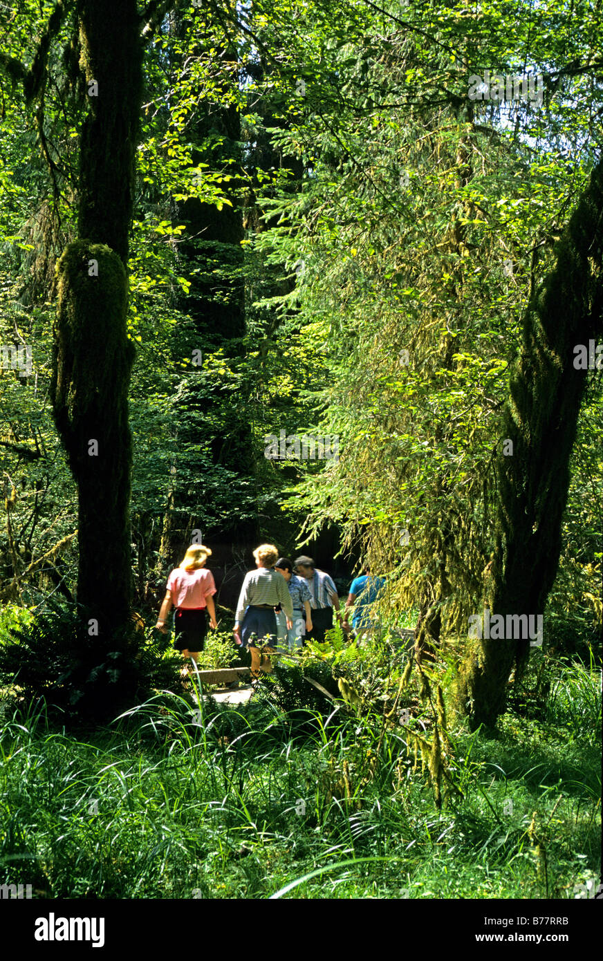 People walking in Hoh Rainforest in Olympic National Park Washington ...
