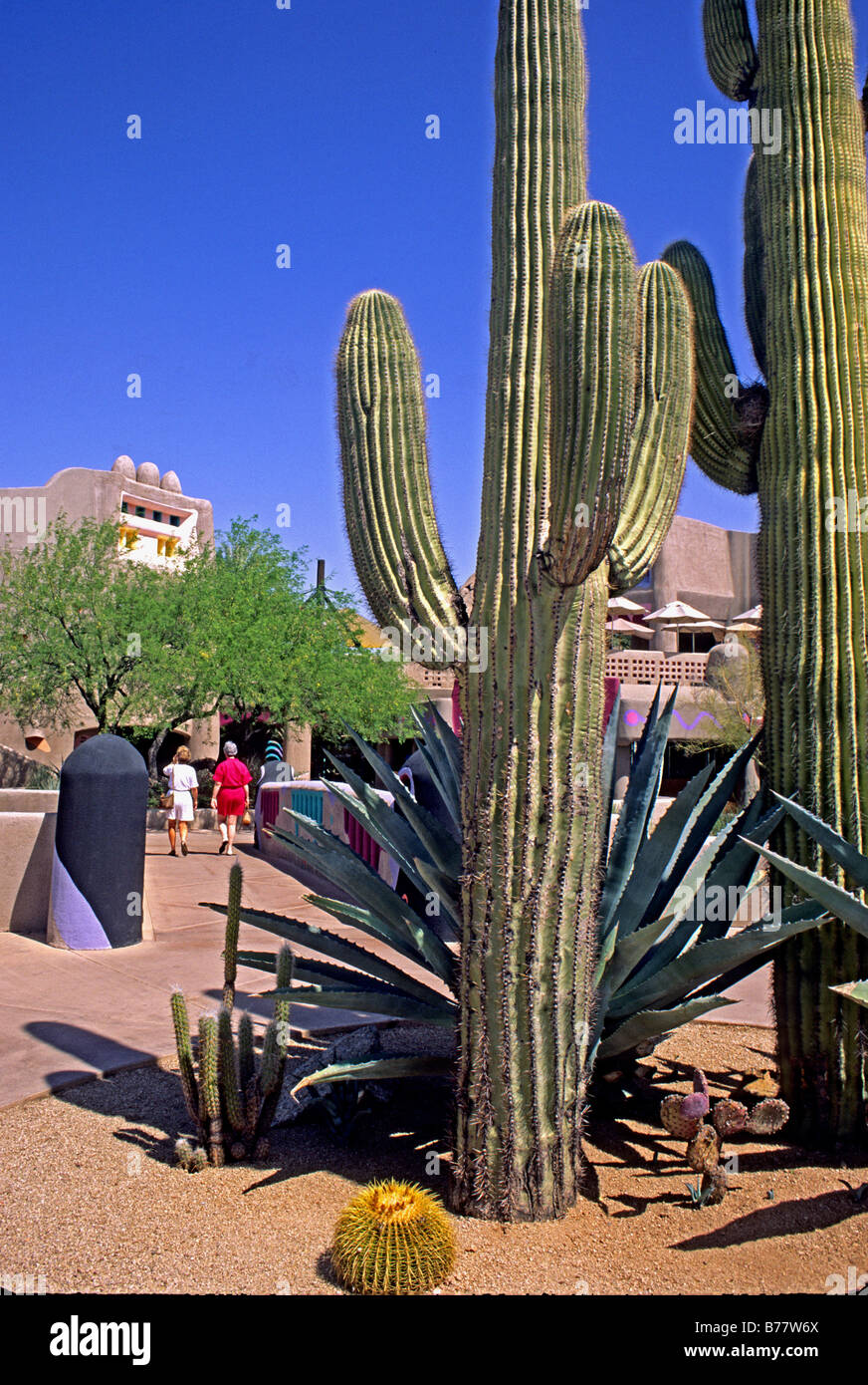 people walking saguaro cactus El Pedregal shopping mall Scottsdale near ...