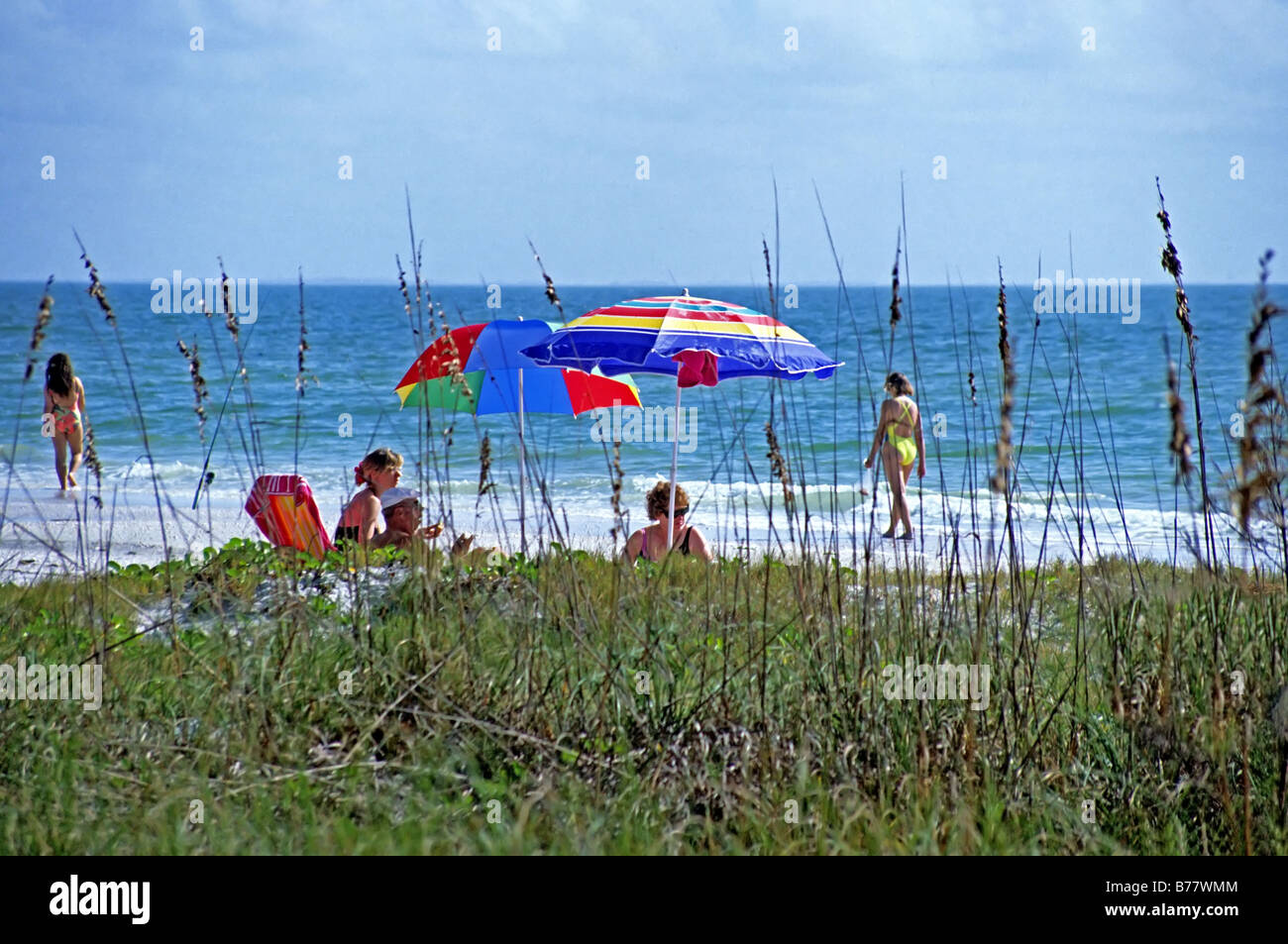 People at beach Sanibel Island Florida Stock Photo - Alamy