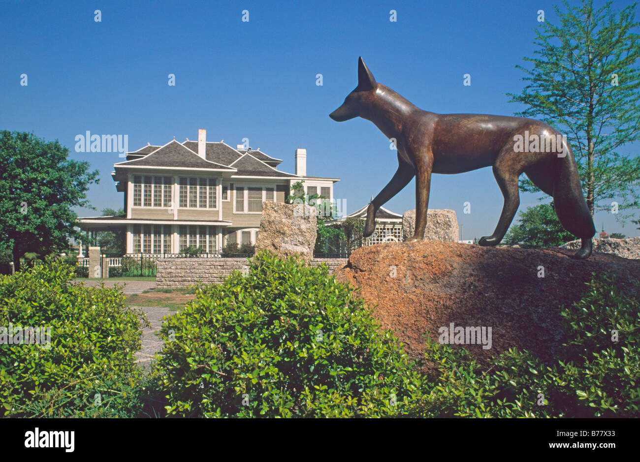Coyote sculpture in Sam Houston Park downtown Houston Texas Stock Photo ...