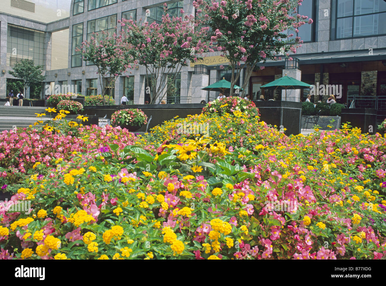 flower garden at First Union Plaza Charlotte North Carolina Stock Photo ...