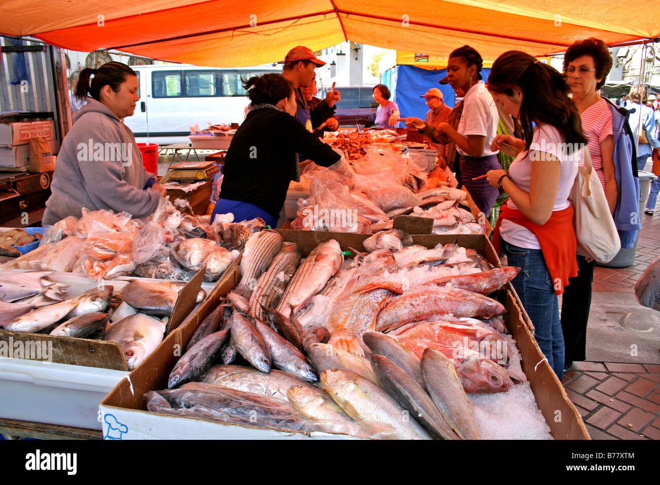 Fish vendor at Public Market Civic Plaza San Francisco California Stock ...