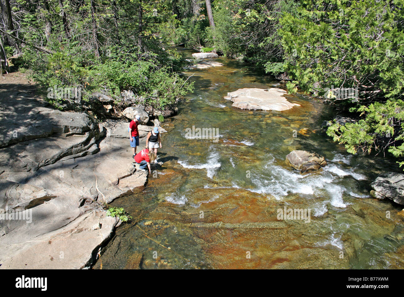 People at Big Trees Creek in Calaveras Big Trees State Park California ...