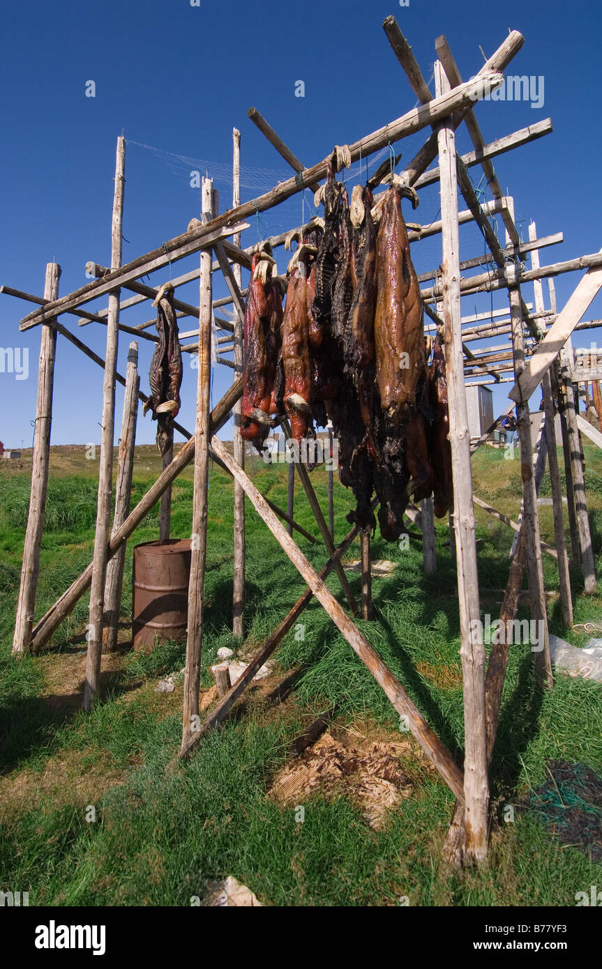 Inuit fish drying hi-res stock photography and images - Alamy