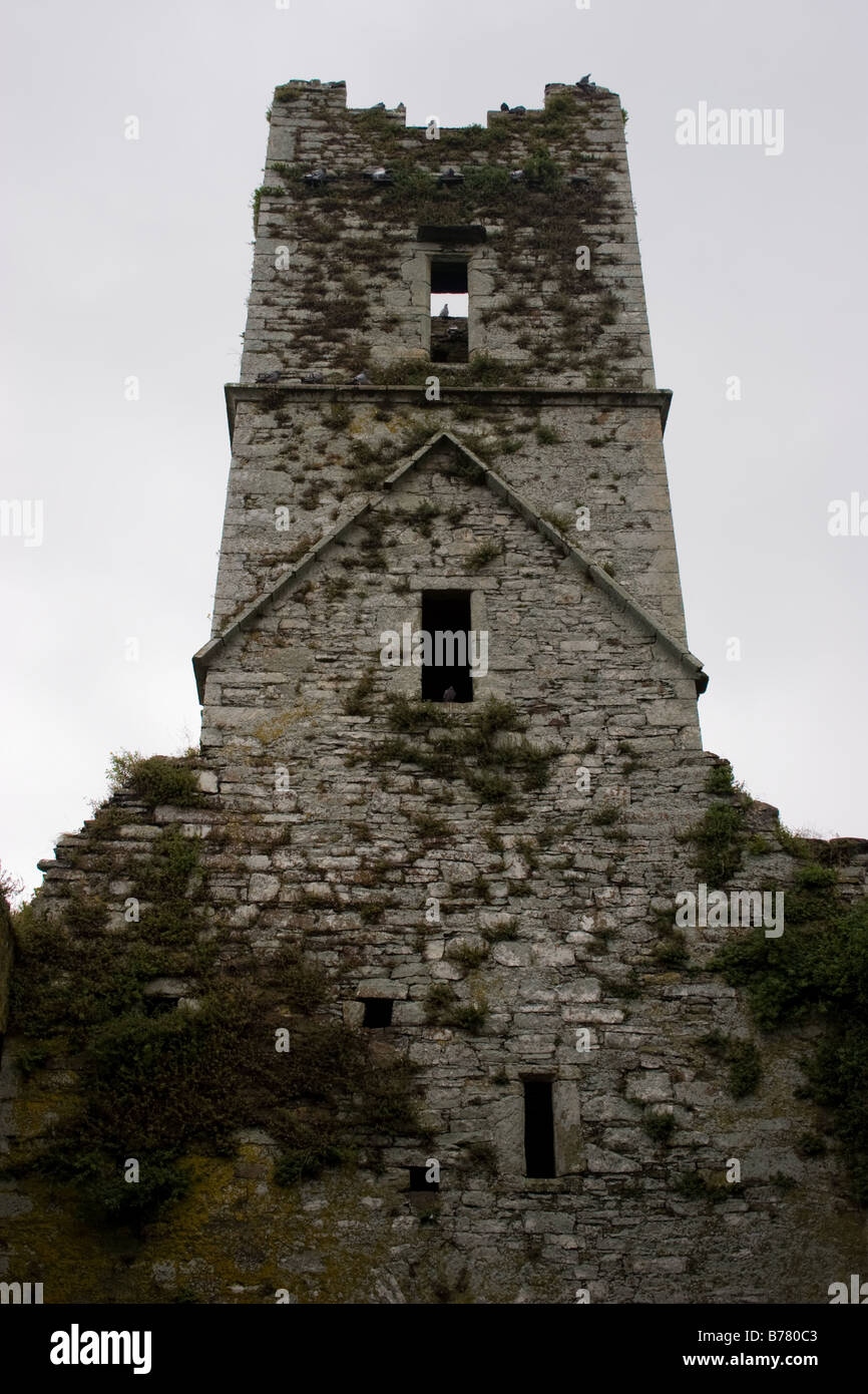 Timoleague abbey hi-res stock photography and images - Alamy