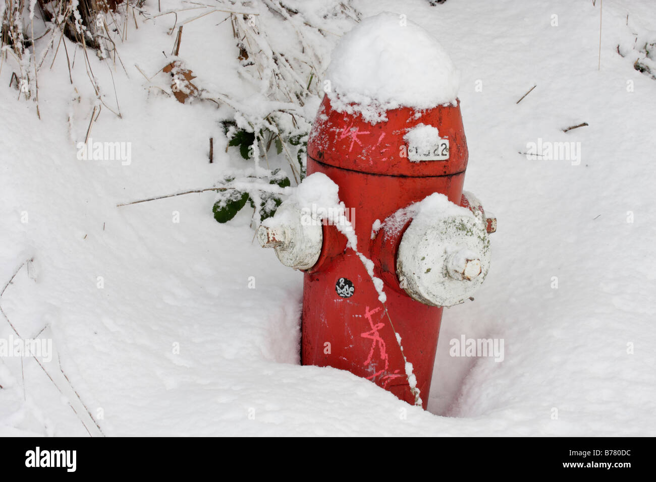 Snow covered fire hydrant after winter snowstorm Stock Photo - Alamy