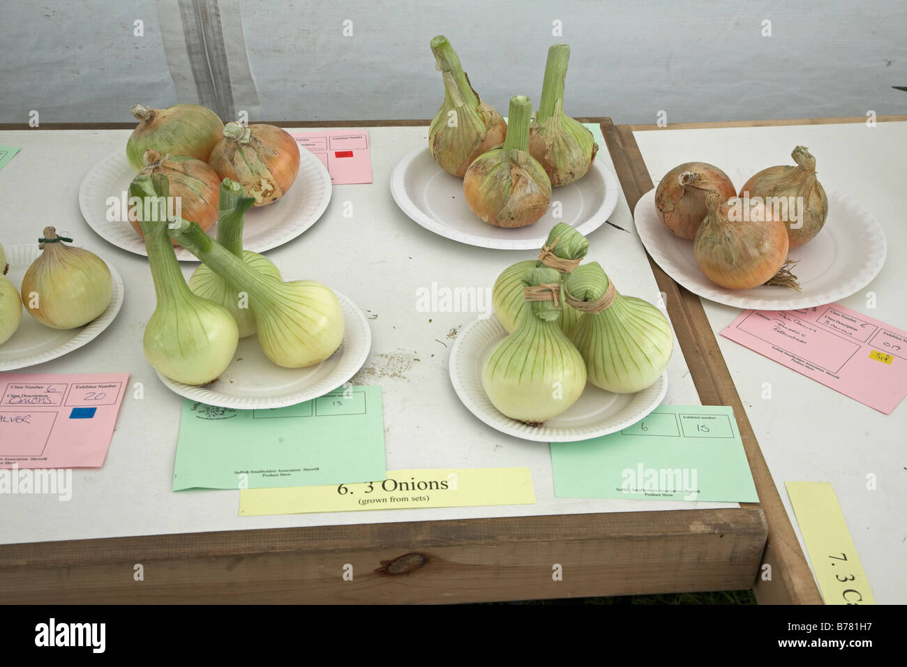 Prize winning onions on display Suffolk Smallholders annual show ...