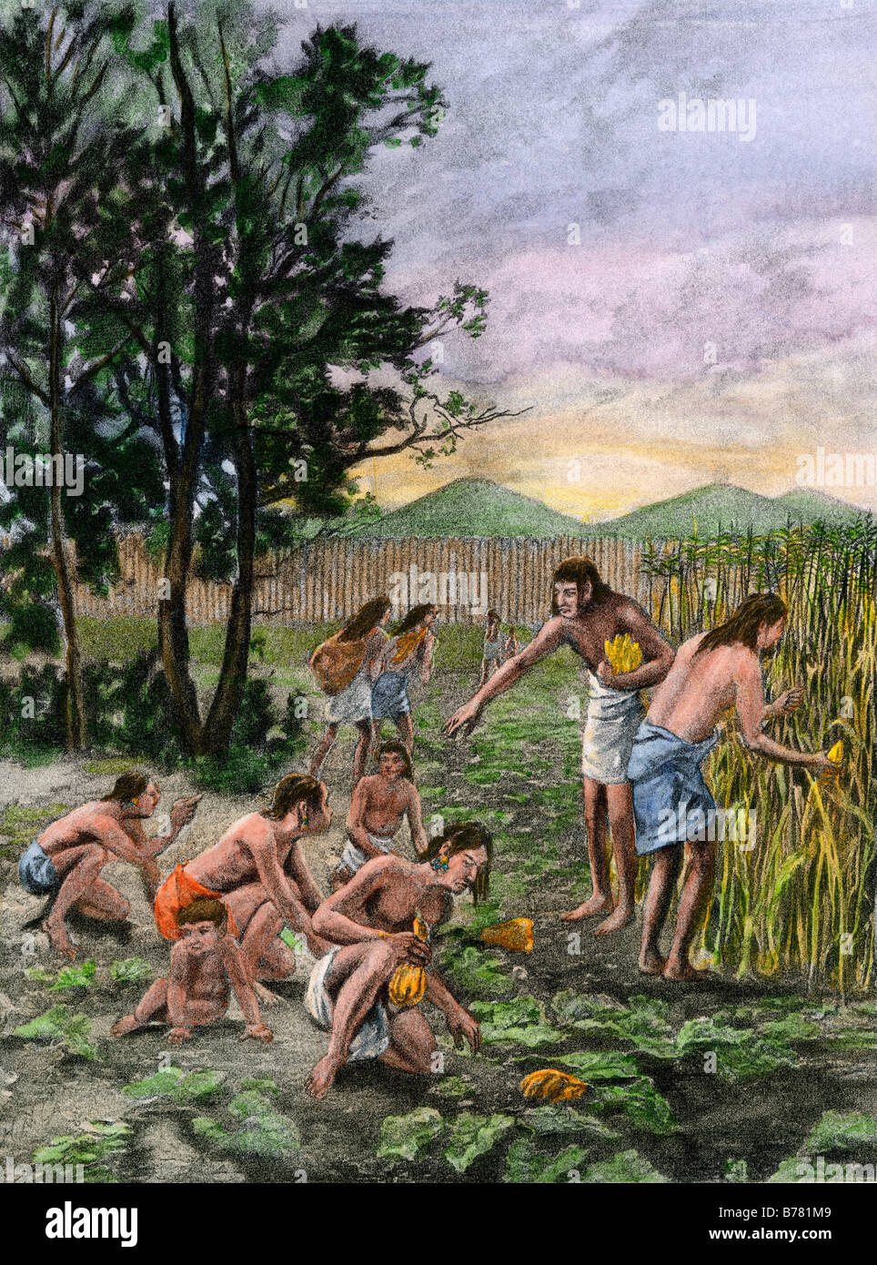 Sowing Seeds of Genius: The Enduring Legacy of Early Native American ...