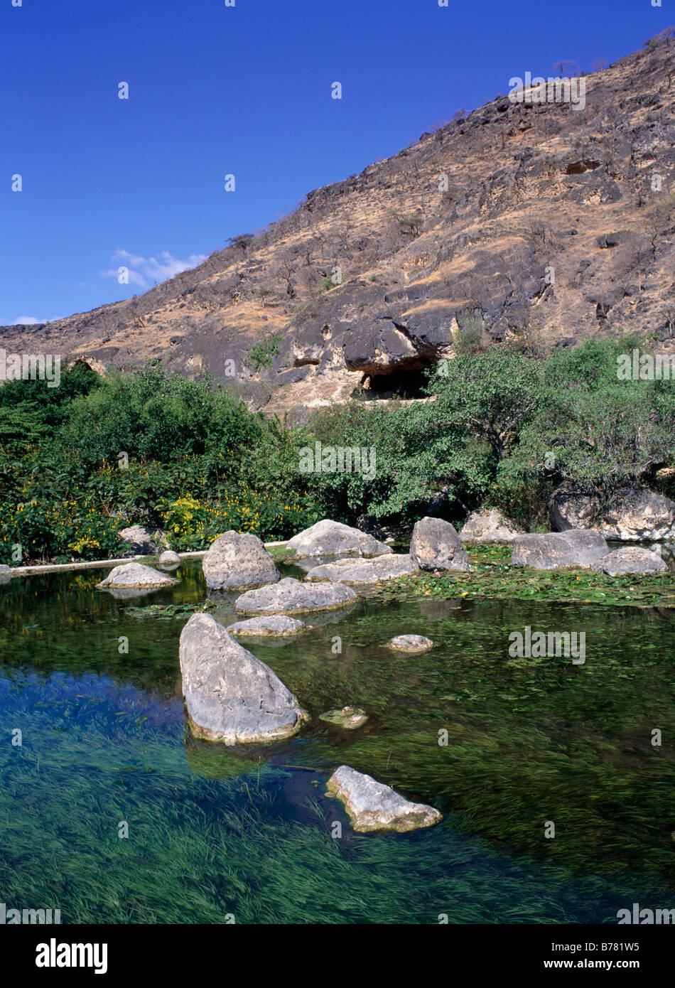Ayn Razat gardens Sloping hillside Cave Water pool with water lillies ...