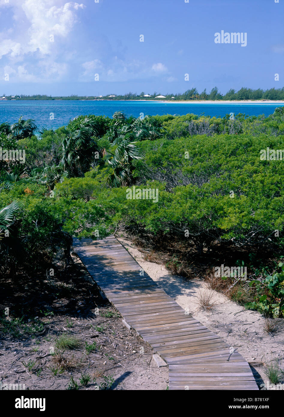 Little Water Cay nature trail Sea Trees and plants British West Indies ...