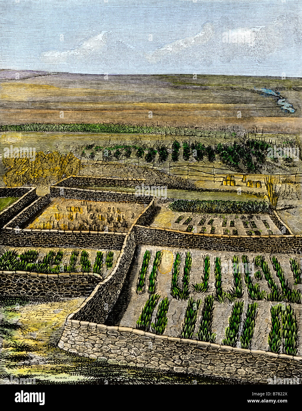 Pueblo Indians Farming Corn