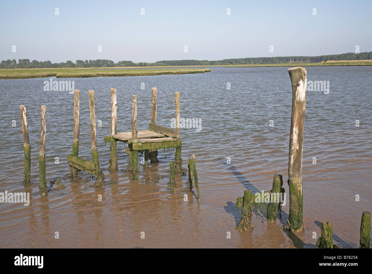 Old abandoned wooden jetty Butley Creek river Butley Suffolk England ...