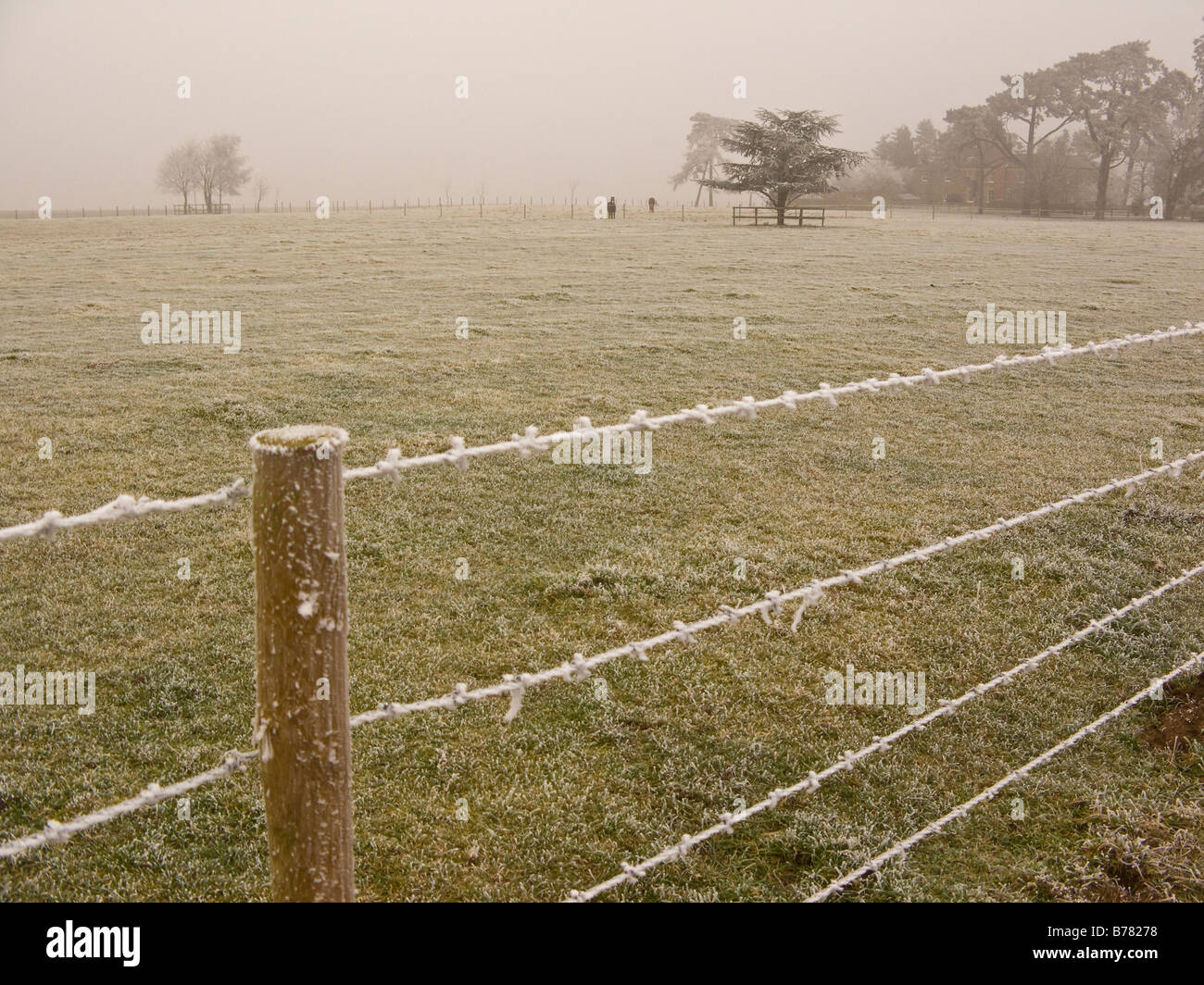 Freezing fog conditions in Oxfordshire, England Stock Photo - Alamy