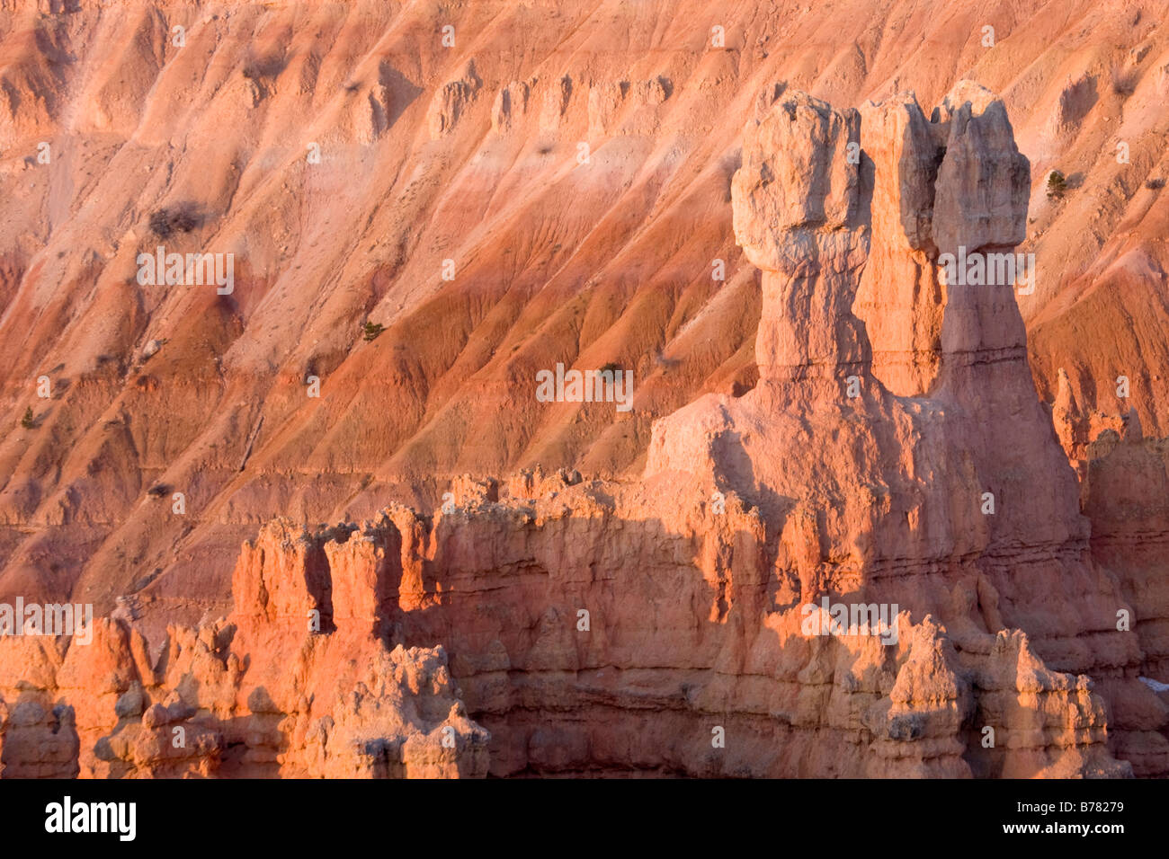 Hoodoos in Bryce Amphitheater at sunrise from Sunset Point along the ...