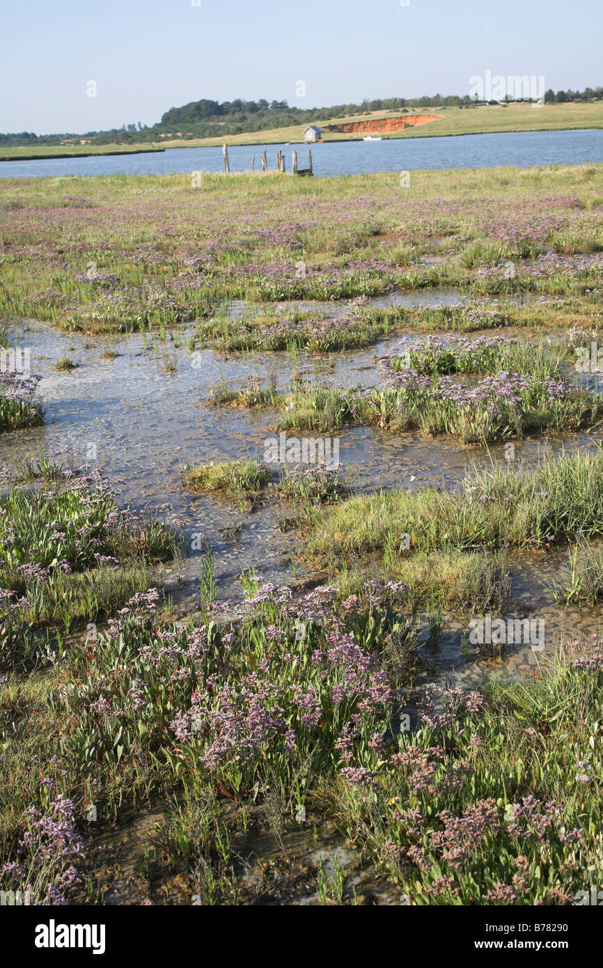 Marshland and tidal river Butley Creek Butley Suffolk England Stock ...