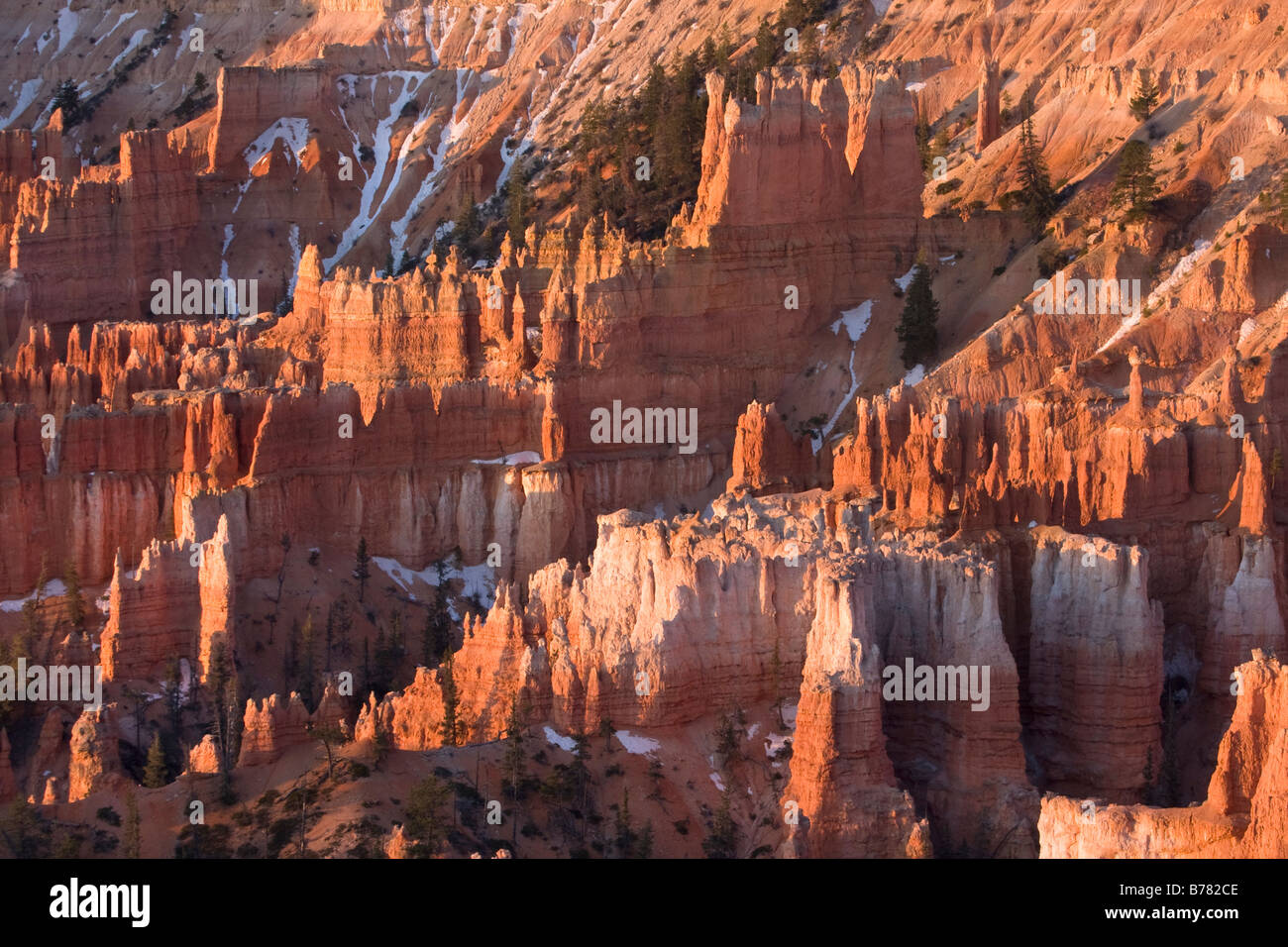Hoodoos in Bryce Amphitheater at sunrise from Sunset Point along the ...