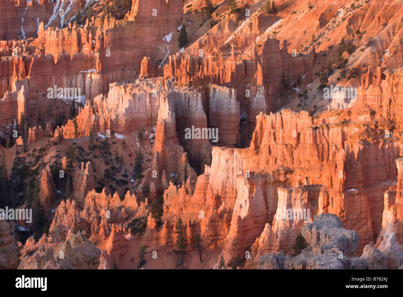 Hoodoos in Bryce Amphitheater at sunrise from Sunset Point along the ...