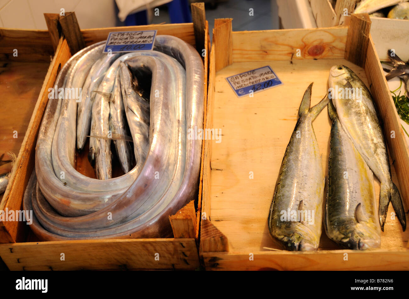 Typical fish shop in Siracuse Sicily with local catch Stock Photo - Alamy