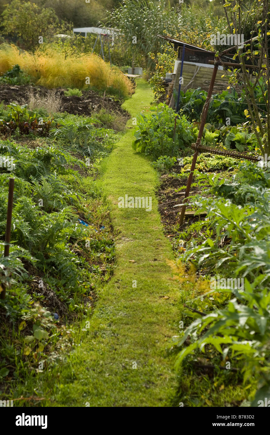 A green path in a vegetable allotment garden in West Harrow Stock Photo ...