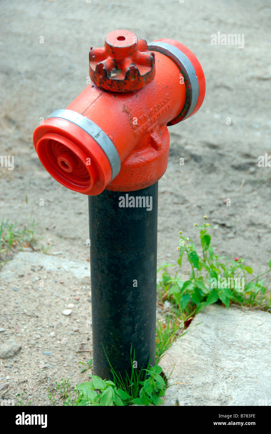 fire hydrant stands out on the street Stock Photo - Alamy
