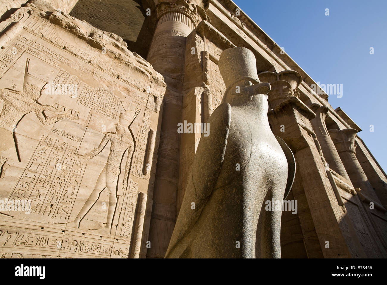 Close up of the statue of Horus of Behdet in the forecourt at the ...