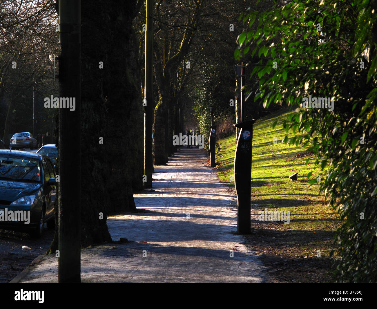 Frosty footpath with trees and shadows Stock Photo - Alamy