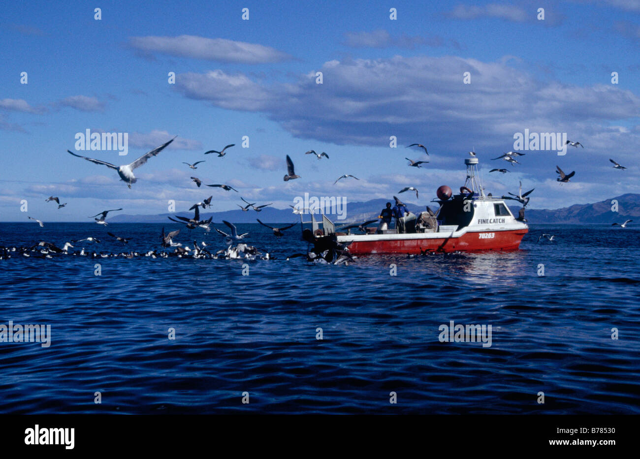 Fishing boat Fine Catch on water Two people tending nets Flock of large ...