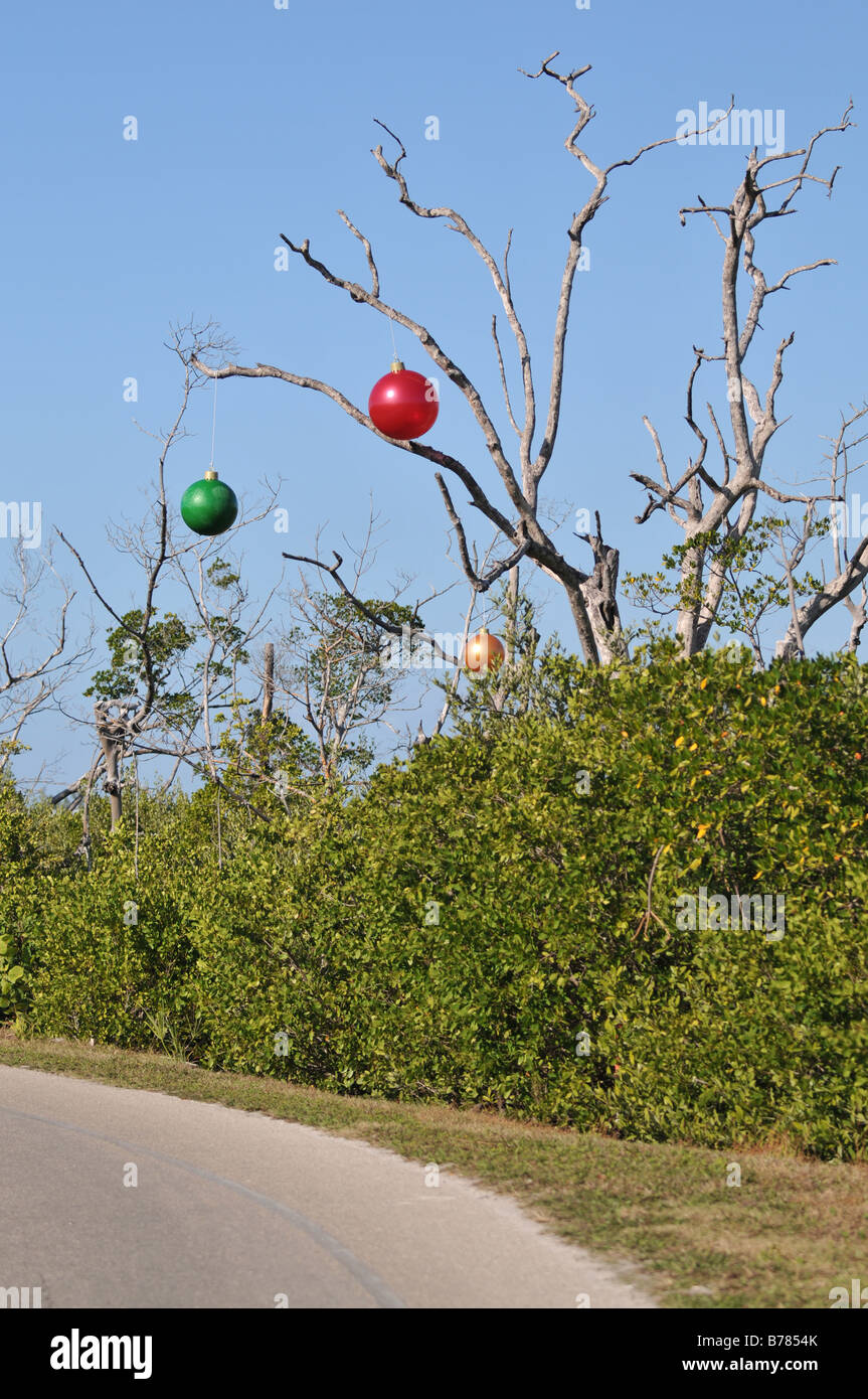 Celebration florida and christmas hi-res stock photography and images ...