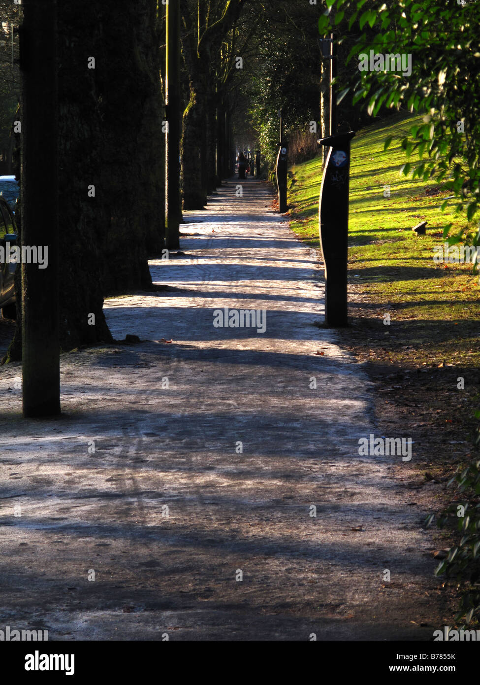 Frosty footpath with trees and shadows Stock Photo - Alamy