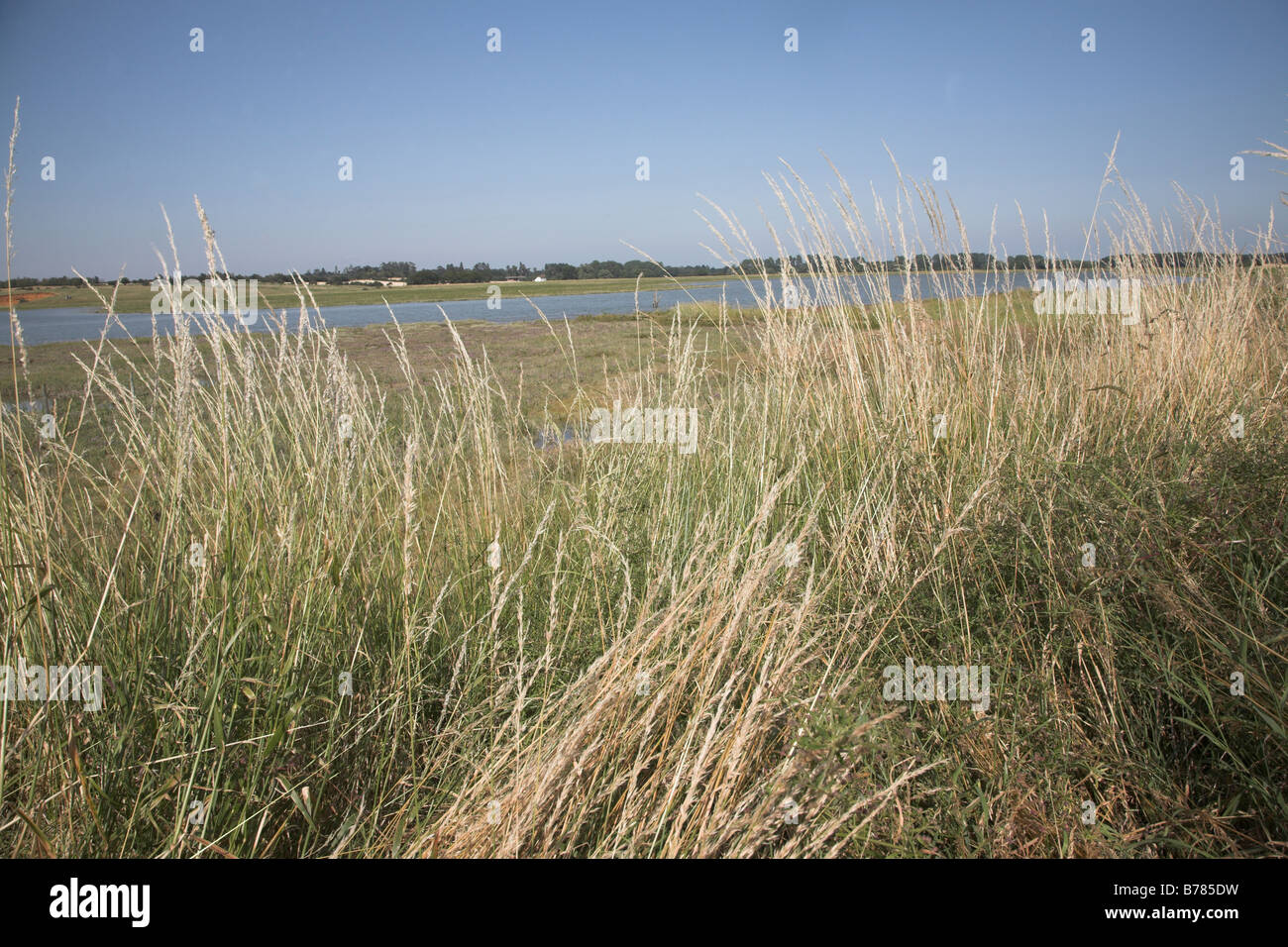 Butley creek river marshes butley hi-res stock photography and images ...