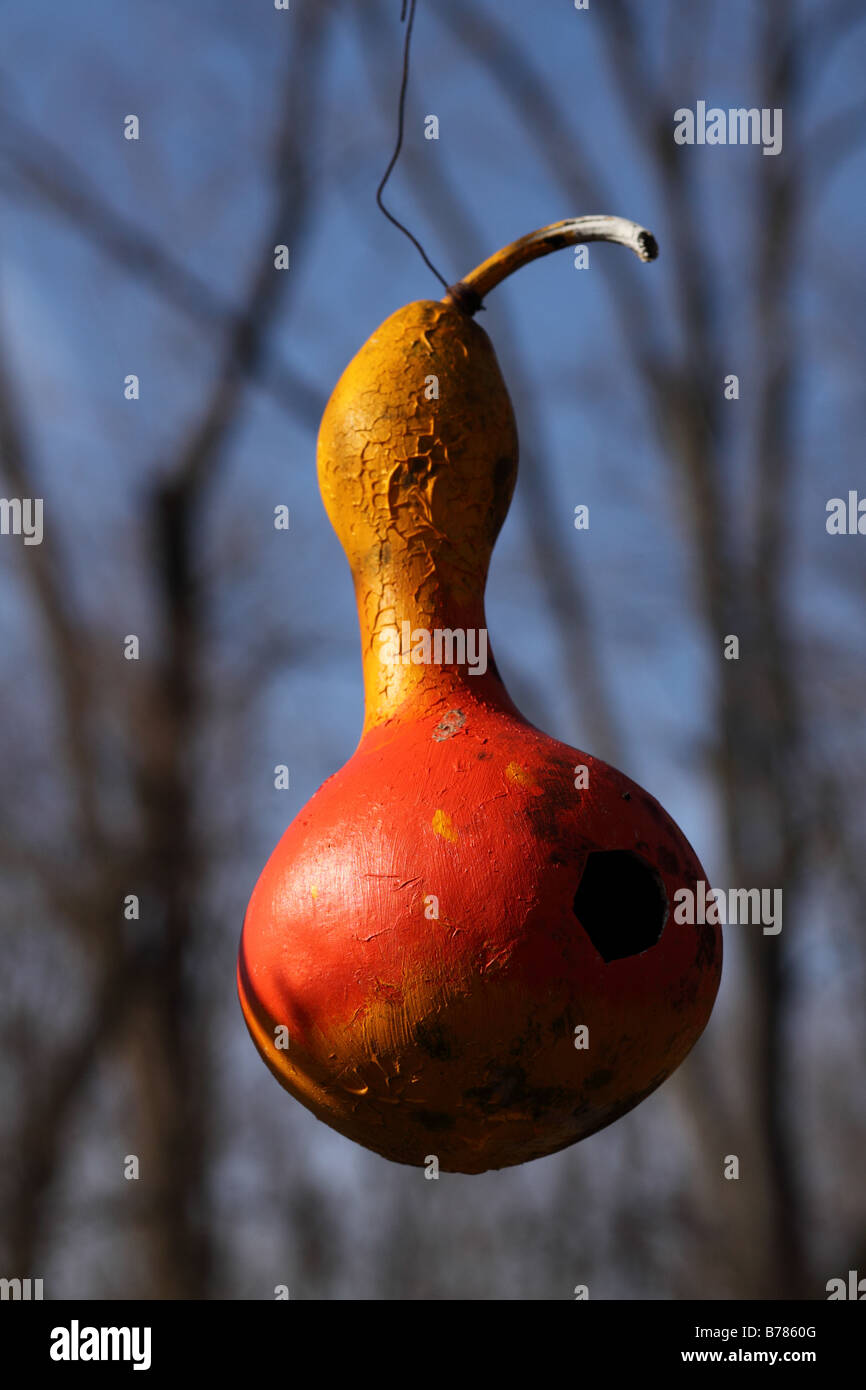 Hand painted orange gord bird house hanging in tree Stock Photo - Alamy