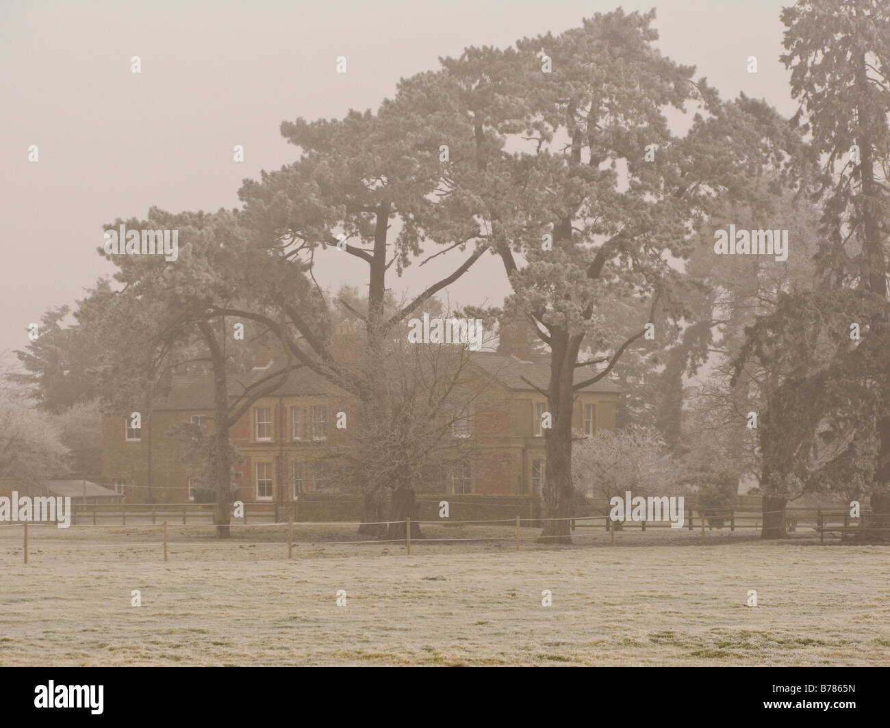 Freeze freezing frost hi-res stock photography and images - Alamy