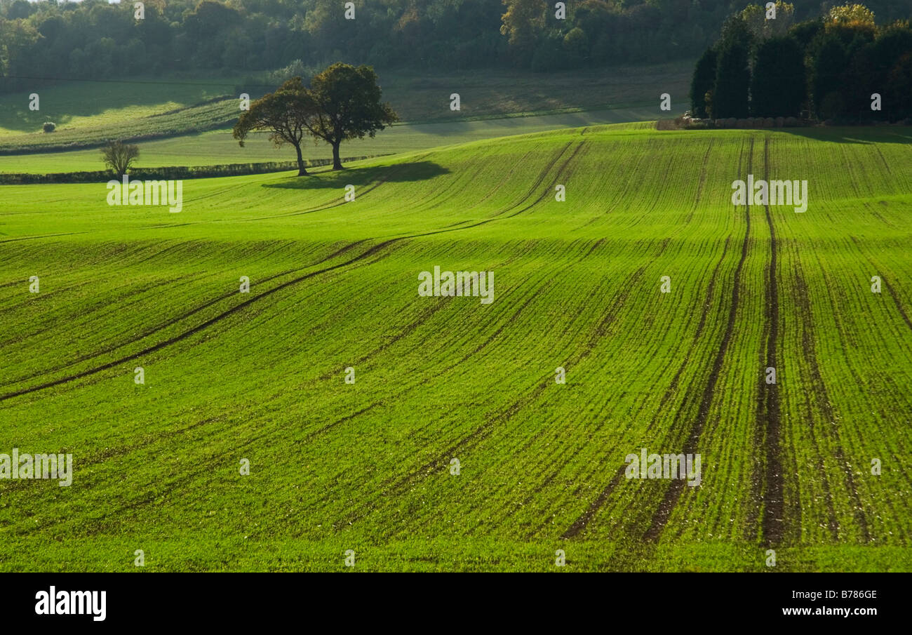 Furrows green hi-res stock photography and images - Alamy