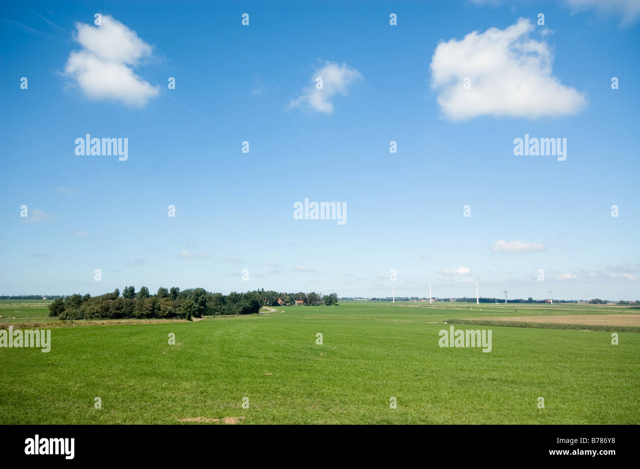 summer landscape background Stock Photo - Alamy