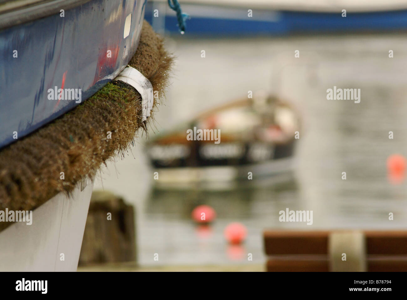 Awaiting the spring Stock Photo - Alamy