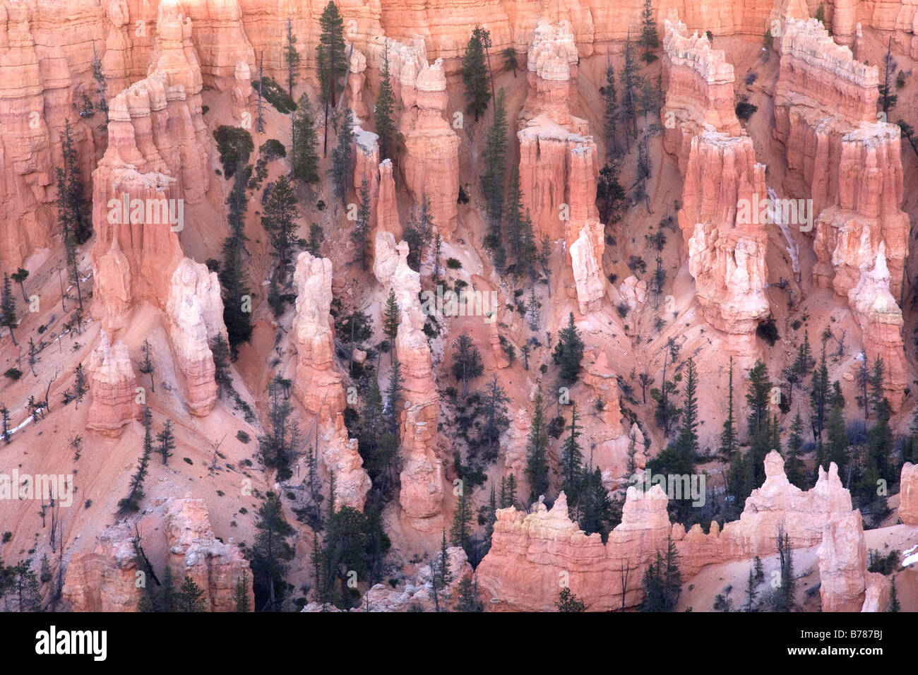 Hoodoos in Bryce Amphitheater from Inspiration Point in Bryce Canyon ...