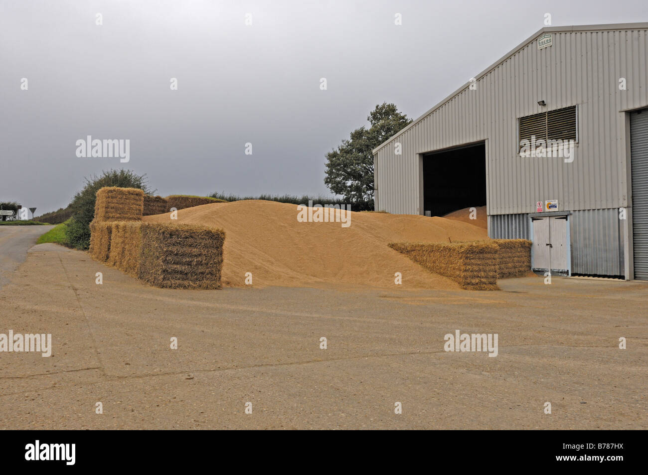 Grain mountain hi-res stock photography and images - Alamy