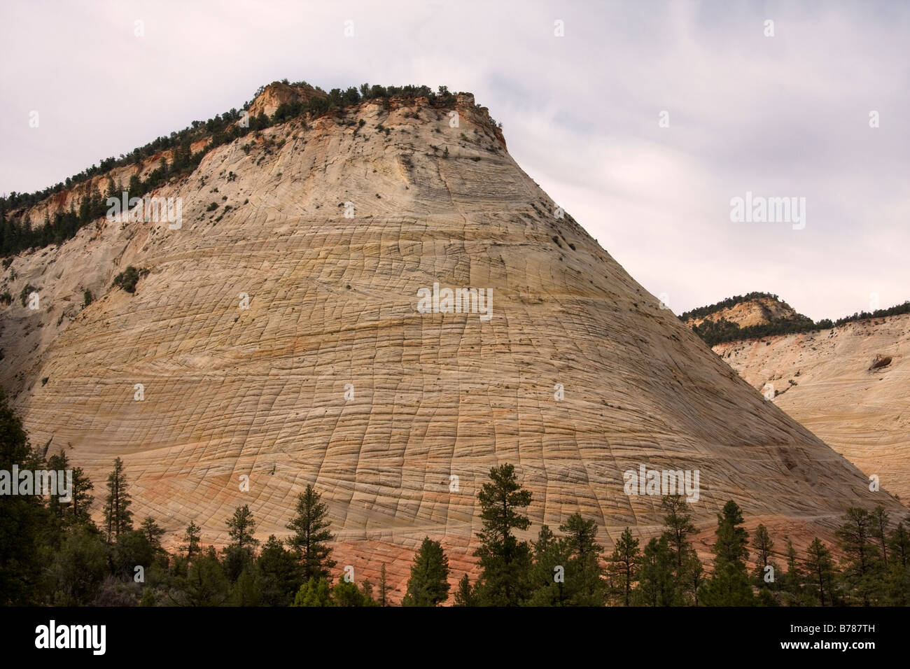 Checkerboard Mesa in Zion National Park Utah Stock Photo - Alamy