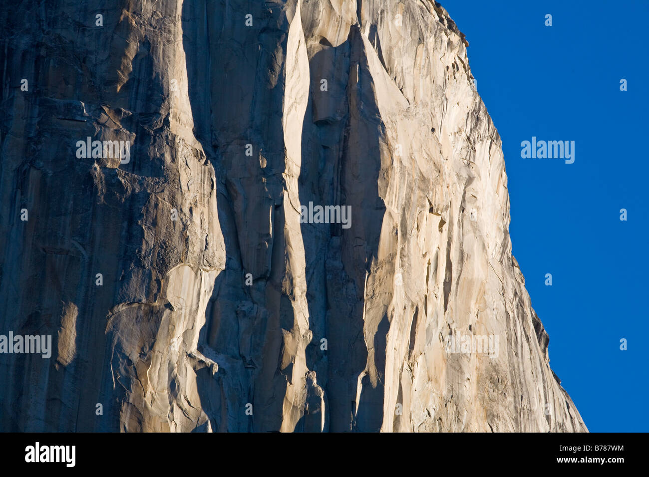 The face of EL CAPITAN at sunrise YOSEMITE NATIONAL PARK CALIFORNIA ...