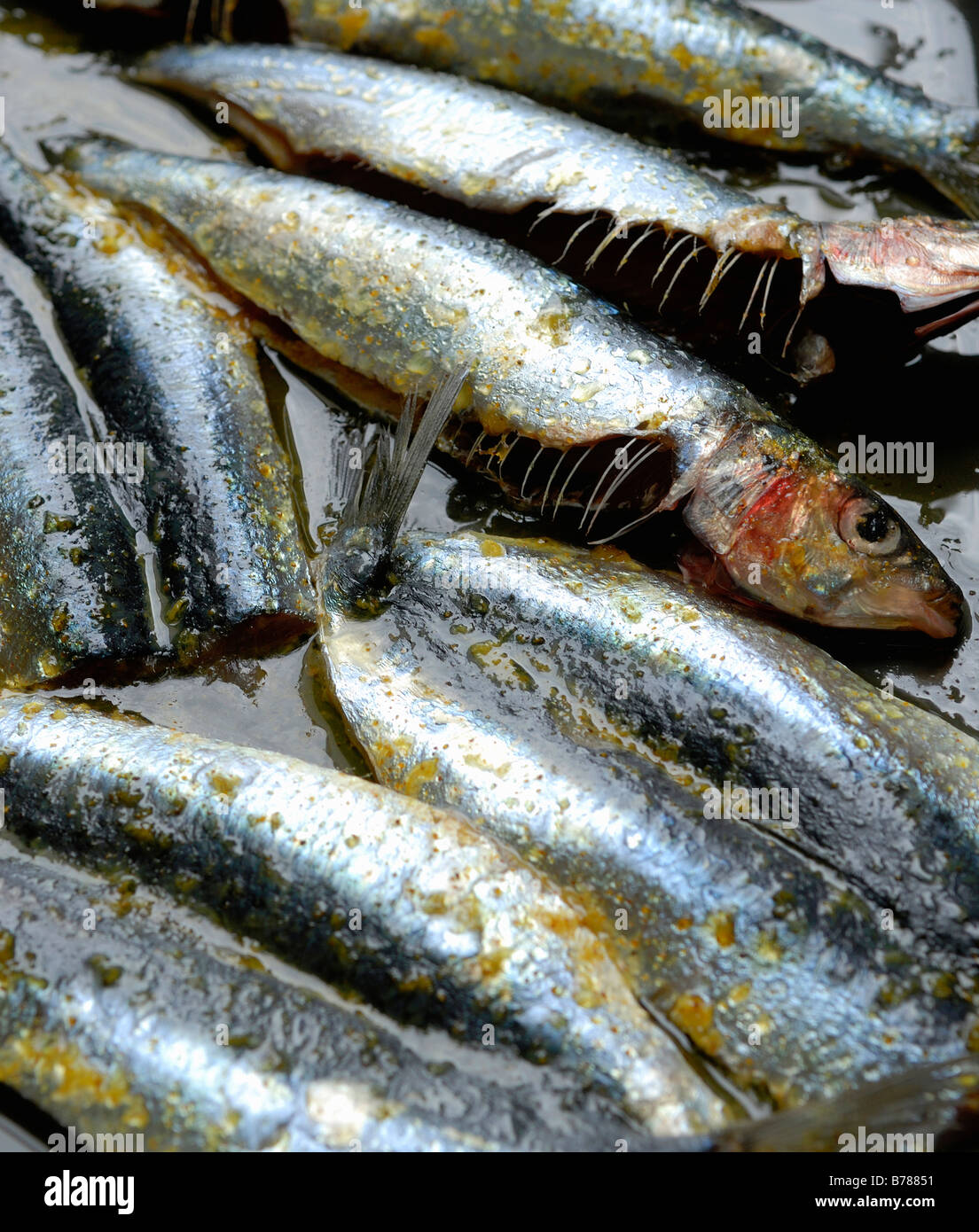 Marinated Sardines ready for Barbecue Stock Photo - Alamy