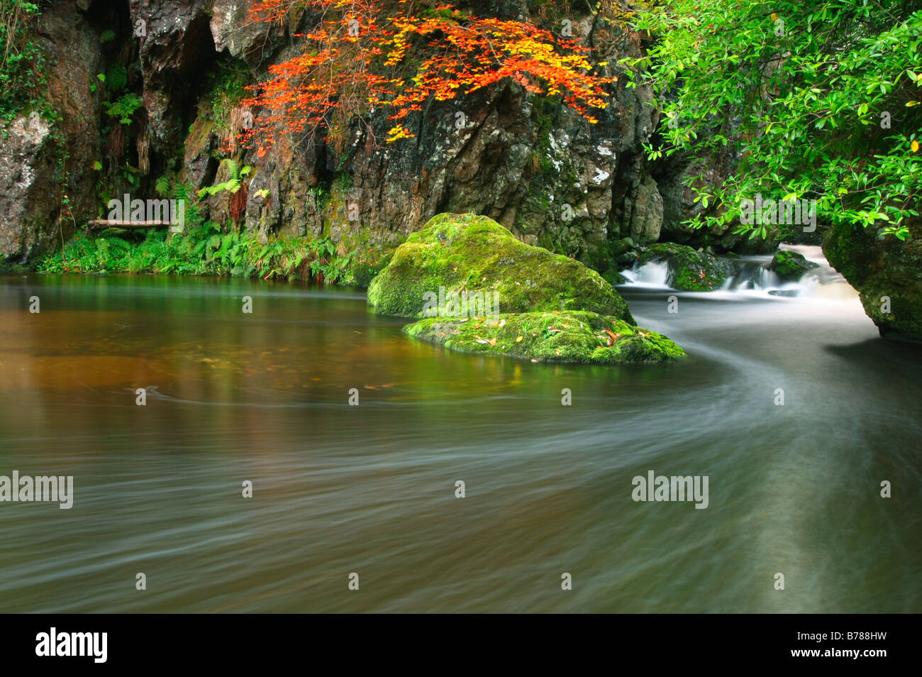 Deep gorge on the River Dargle near Enniskerry, Co. Wicklow, Republic ...