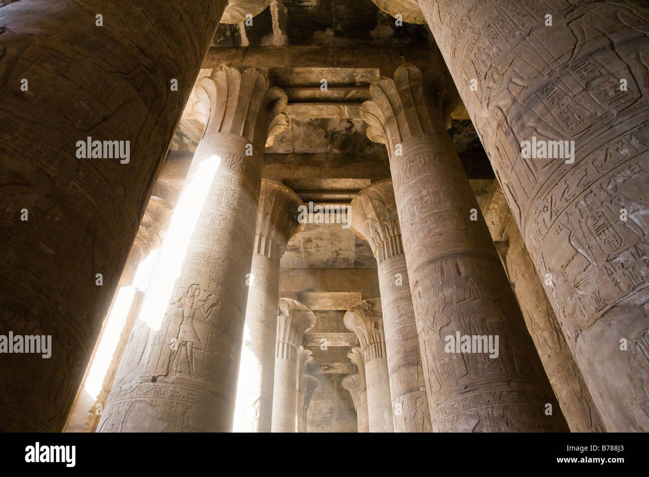 Looking up to the ceiling through the columns within the Hypostyle Hall ...