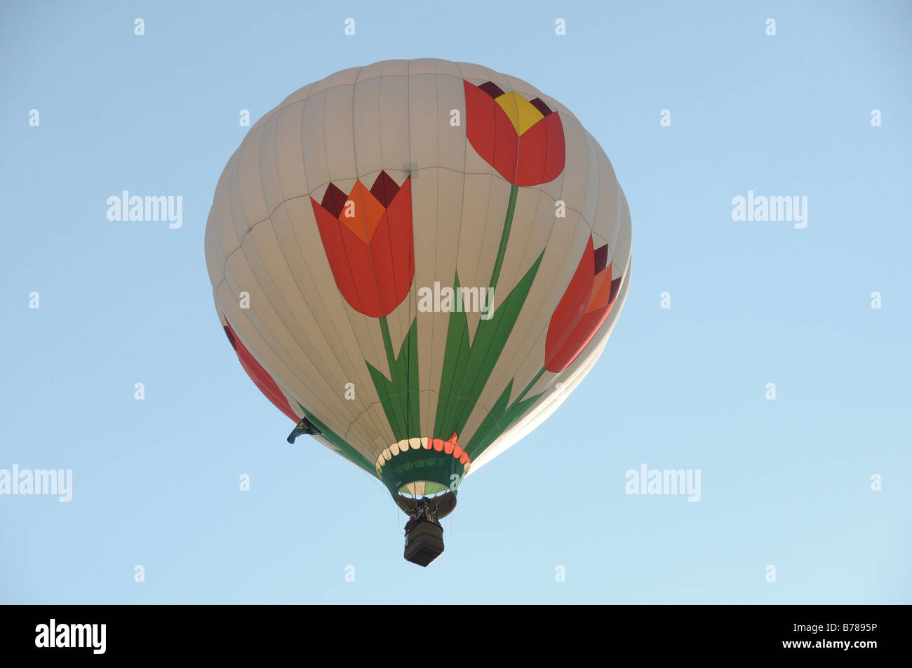 Usa festival hi-res stock photography and images - Alamy